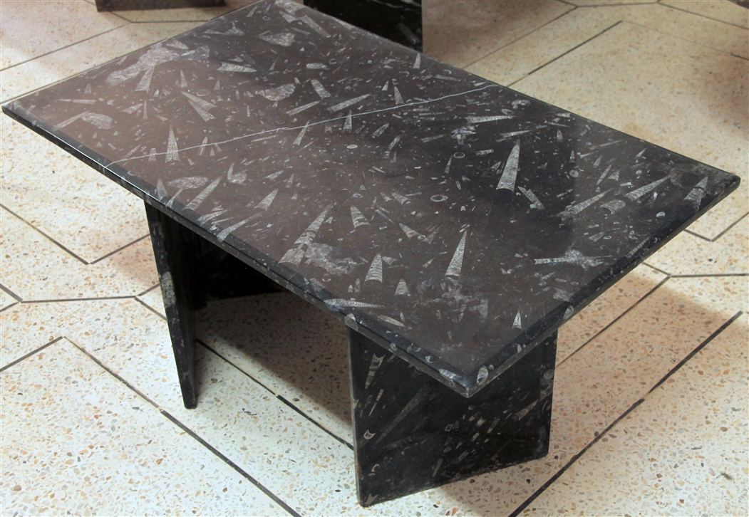 MARBRE AVEC FOSSILES - Top Level Marble
